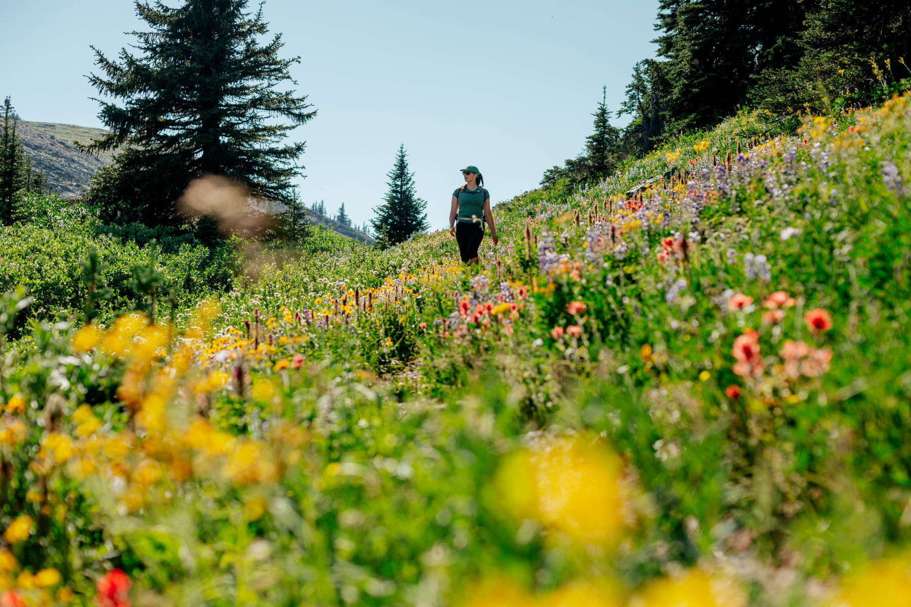 Sun Meadow Resort Events