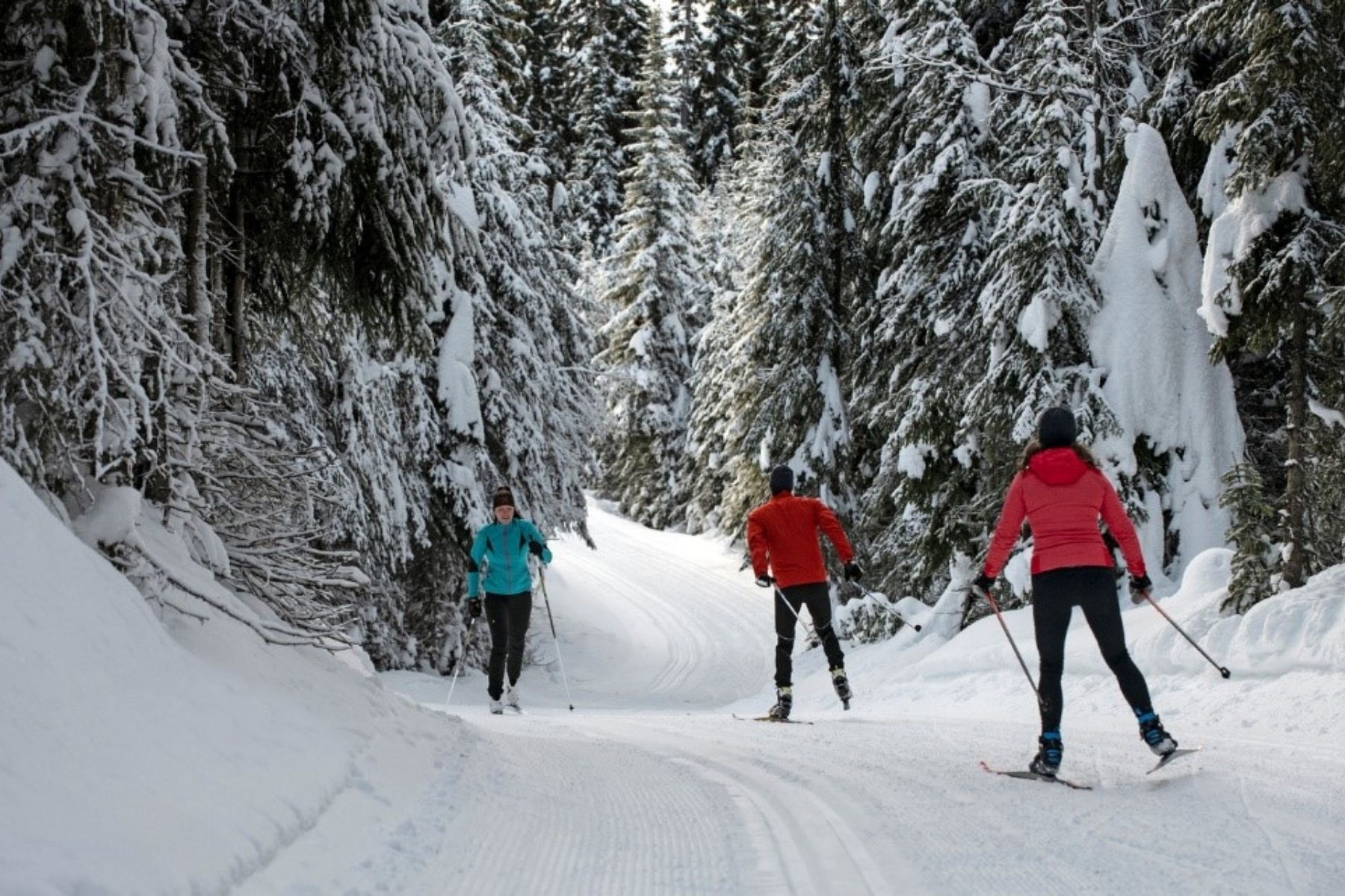 8 Tips for Cross-Country Skiing First-Timers | Sun Peaks Resort