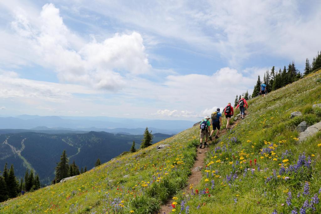 Guided Hiking Tours | Sun Peaks Resort