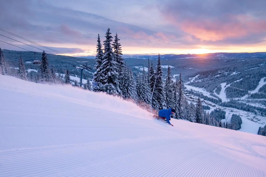 Elevation Bike, Ski & Board - Winter | Sun Peaks Resort