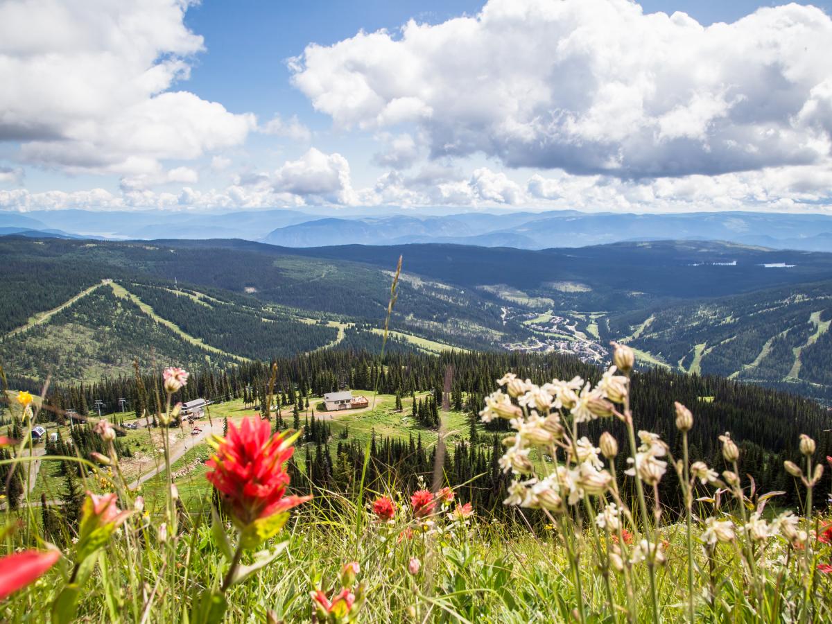 Sun Peaks in Summer | Sun Peaks Resort