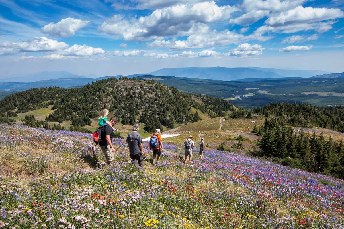 Reach the Peak - Tod Mountain Summit Hike | Sun Peaks Resort