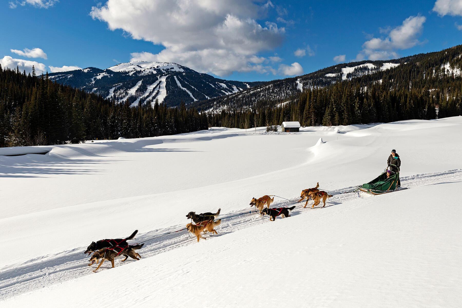Dog Sled Tours | Sun Peaks Resort