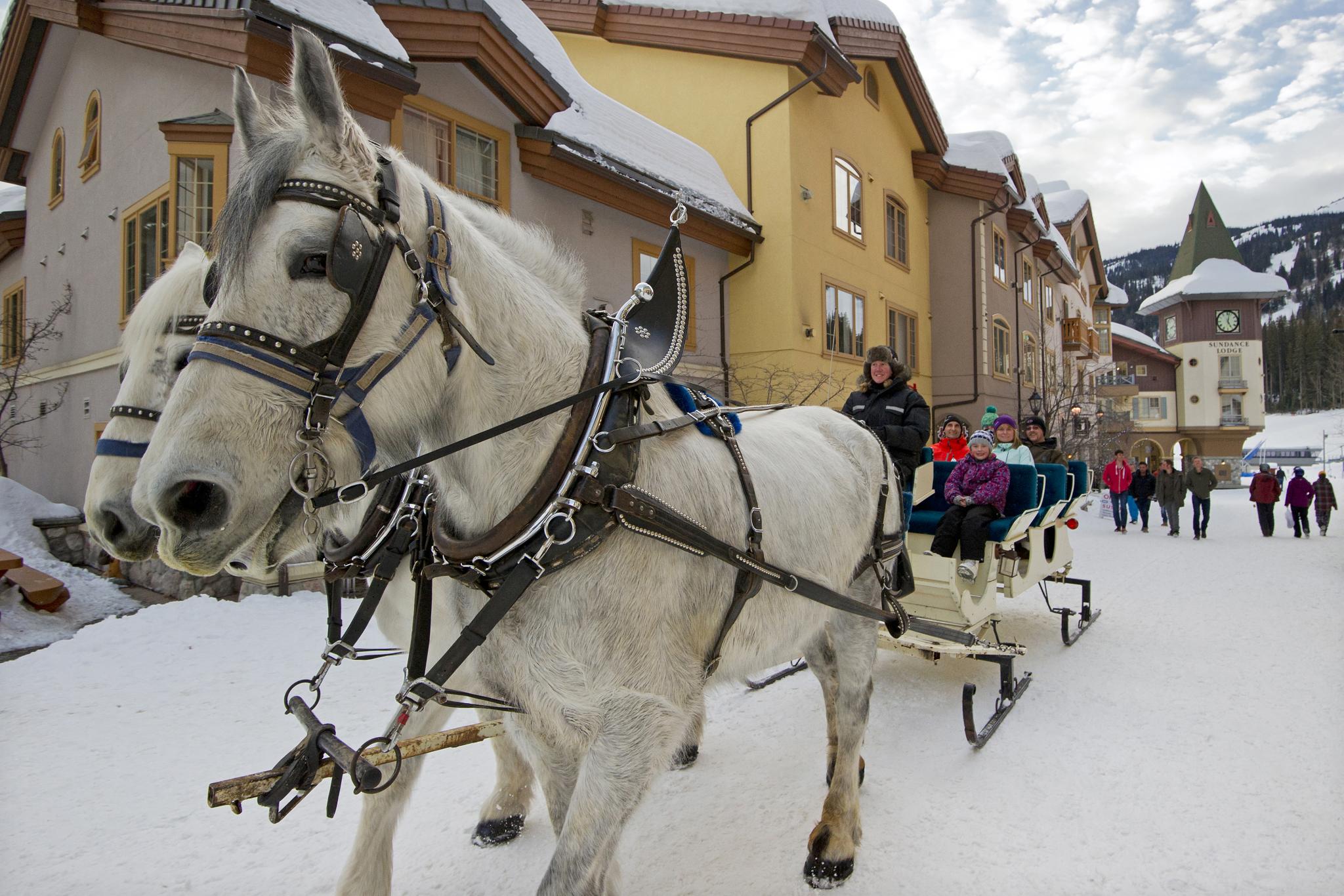 Horse Drawn Sleigh Rides | Sun Peaks Resort