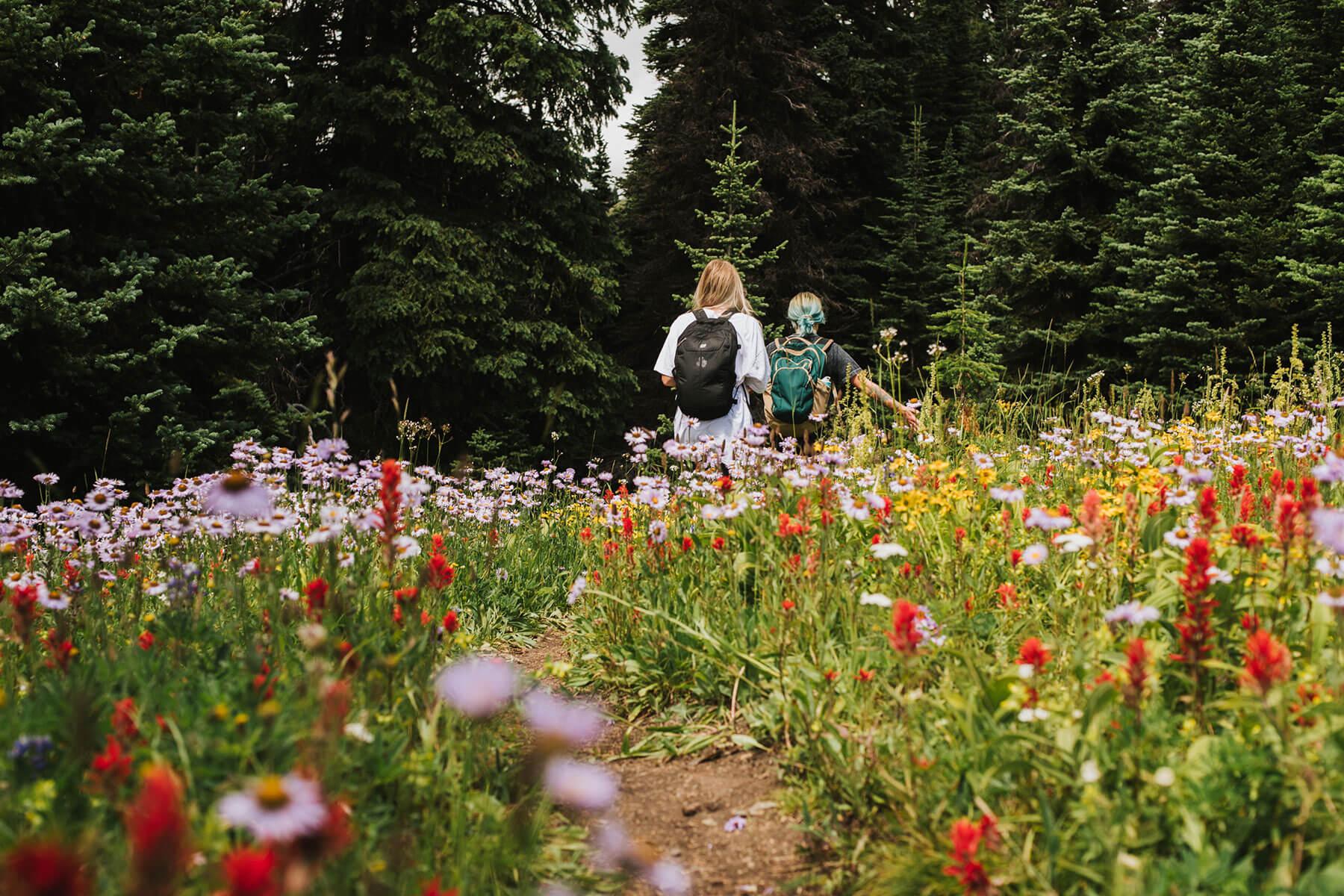 Looking Back: A Summer Alpine Adventure | Sun Peaks Resort
